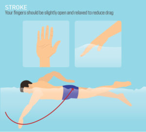 Breaking Down the Freestyle Stroke Technique | PRO TIPS by DICK'S ...