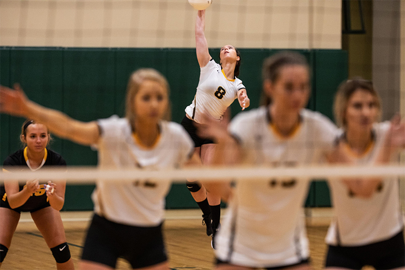 Volleyball 101 Volleyball Positions And Their Roles PRO TIPS By DICK 